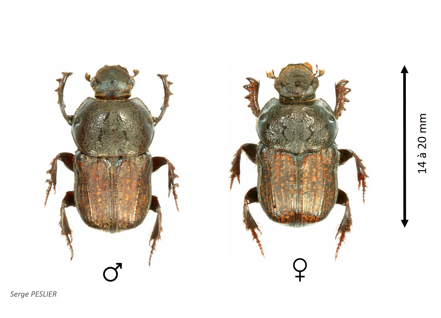 OREME DATA | Galerie de photos