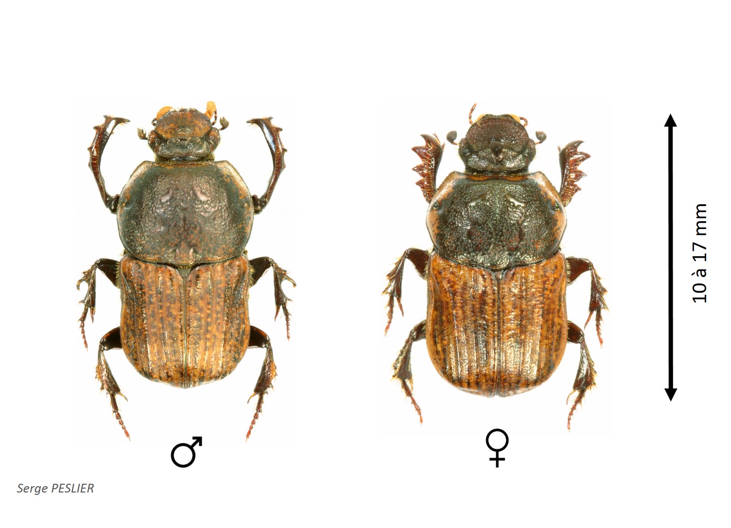 OREME DATA | Galerie de photos